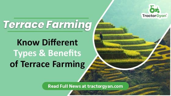 Terrace Farming: Know Different Types & Benefits of Terrace Farming