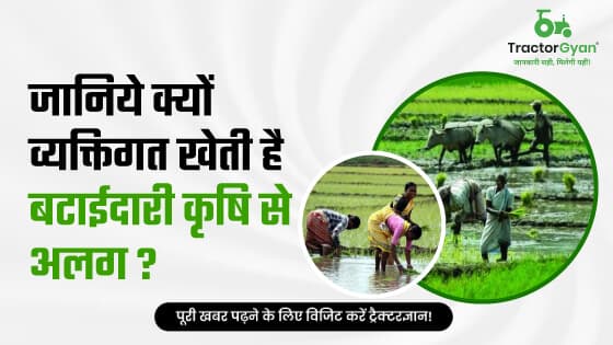 DAP fertilizer: Benefits, uses, and application guide for farmers